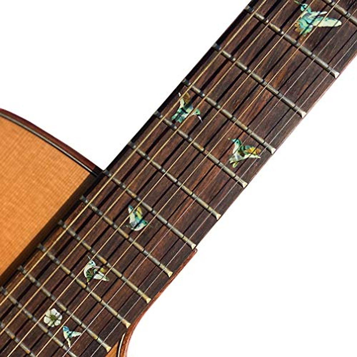 Bee Hummingbirds - Fret Markers Inlay Stickers Decals for Guitars