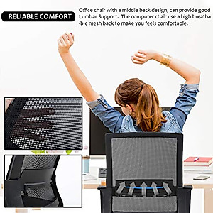 Home Office Chair Ergonomic Desk Chair Swivel Rolling Computer Chair Executive Lumbar Support Task Mesh Chair Adjustable Stool for Women Men (Black)