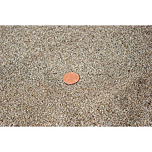 Calibonsai 1 Quart Fine Vermiculite for Seed Starting, Cuttings, Cactus & Succulent Soil Amendment, 1QFIVERMI