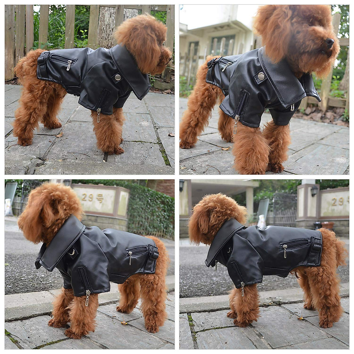 Lovelonglong Cool Dog Leather Jacket, Warm Coats Dogs Windproof Cold Weather Coats for Large Medium Small Dogs, Beagle Clothing Black L-S