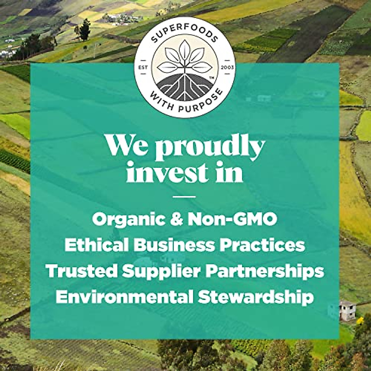 Navitas Organics Maca Gelatinized Powder, 16 oz. Bag, 90 Servings — Organic, Non-GMO, Glluten-Free (Pack of 1)