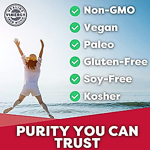 Vimergy Adapto B Complex, 120 Servings – High Potency with 8 B Vitamins, Rhodiola & Hawthorn Berry – Supports Mental Energy, Cognition, Mood - Non-GMO, Kosher, Vegan, Paleo, No Gluten, No Soy