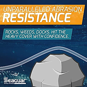 Seaguar IceX 100% Fluorocarbon Fishing Line, Abrasion Resistance, Made for Hard Water 4lbs, 50yds Break Strength/Length - 04ICE50