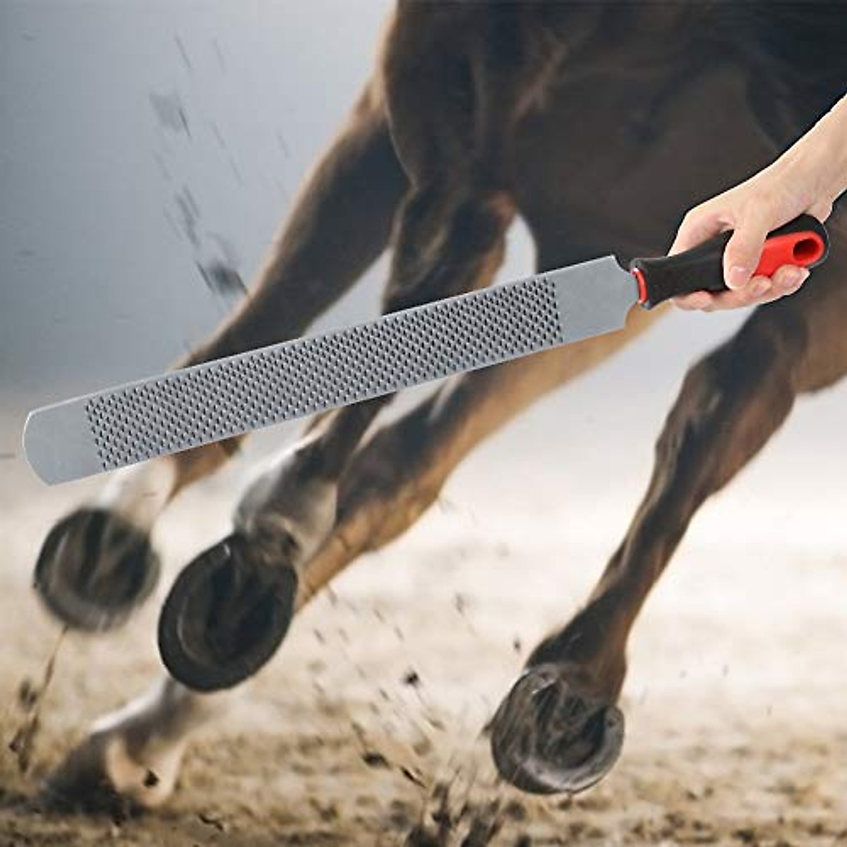 LZKW Double Sided Farrier Tool Professional Horse File Horse File, Horse Rasp, for Clean up The Horse's Hooves