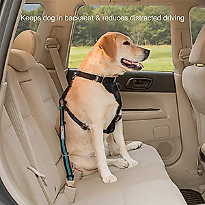 Kurgo 2 Pack Direct to Seatbelt Tether for Dogs. Universal Car Seat Belt for Pets, Adjustable Dog Safety Belt, Carabiner Clip, Use with Any Pet Harness, Charcoal Grey