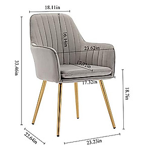 Artechworks Velvet Modern Living Dining Room Arm Chair Club Leisure Guest Lounge Bedroom Upholstered Chair with Gold Metal Legs, Gray