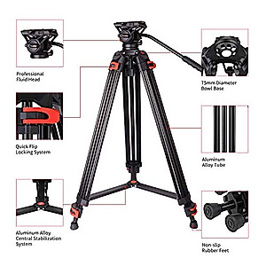 Heavy Duty Tripod, Camera Video Tripod with Fluid Head Aluminum Twin Tube 74.4 inch, Max Loading 17.6 LBS, for Canon Nikon Sony DSLR Camcorder Camera