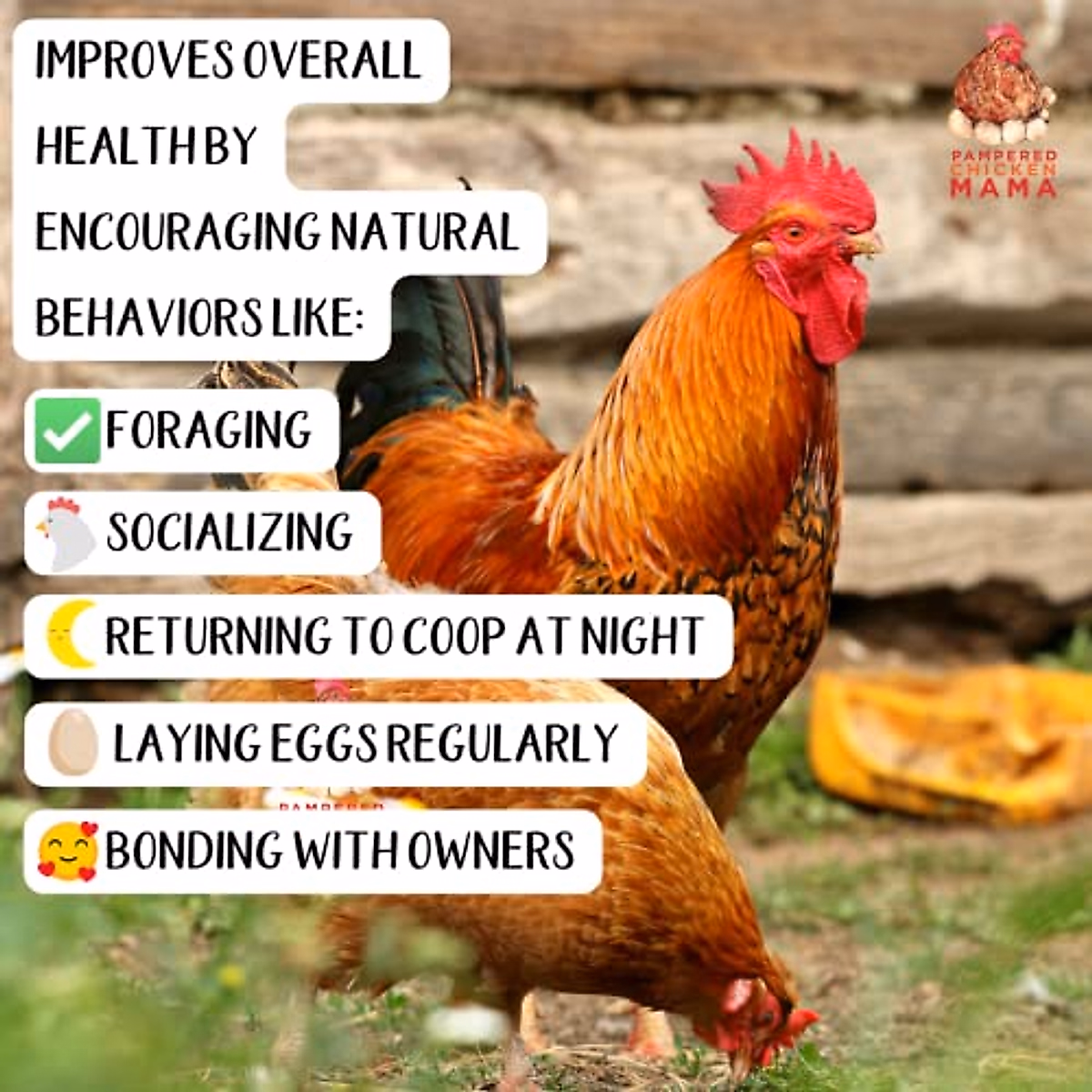 Pampered Chicken Mama Egg-Cellent Yolks: Organic Chicken Feed Supplement & Duck Food for Golden Yolks (2.5 pounds)