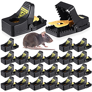 Qualirey Mouse Traps Indoor for Home Rat Traps for House Small Mice Traps Reusable Rat Traps Snap Traps Quick Effective Mouse Catcher Safe Mousetrap for Family and Pet (24 Pcs)