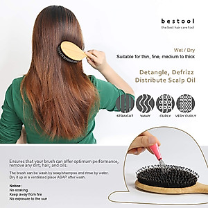 BESTOOL Hair Brush (Regular & Small), Boar Bristle Hair Brushes for Women Men Kids Thick Fine Curly Hair, Hairbrush for Detangling, Soften & Silky Shine
