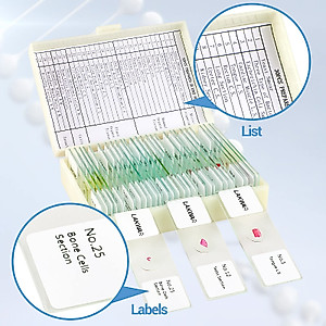 30 Microscope Slides with Specimens for Kids, Prepared Microscope Slides for Kids Microbiology, Glass Slides for Microscope, Biology Gifts for Adults Kids