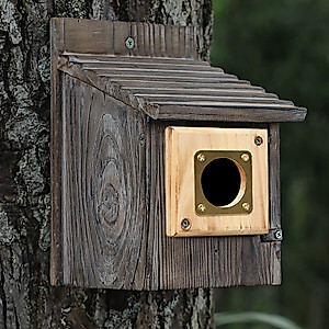 Bluebird House Predator Guard,Metal Birdhouse Guard,Bird House Hole Protector Guard for Eastern Bluebird Box 1 1/2 Inch Opening