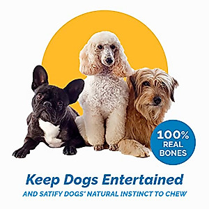 123 Treats Meaty Dog Bones, 100% Natural Knee Cap Beef Bone Dog Treats, No Additives, Made from Premium USA Grass Fed Beef, Tasty Long Lasting Chews for Dogs, Improve Oral Health, Pack of 10