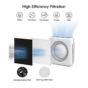 MORENTO Airmega AP-1512HH Replacement Filter for Coway, Compatible with Coway Airmega AP1512HH Air Purifier, Compared to Part #3304899, 2 HEPA Filters & 8 Carbon Filters, 2-Pack