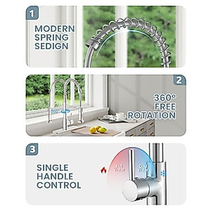 Casavilla Kitchen Faucet Set, Commercial Kitchen Sink Faucets with Pull Down Sprayer and Soap Dispenser, Stainless Steel Faucets for Kitchen Sinks, Single Handle Spring Kitchen Faucets with Deck Plate