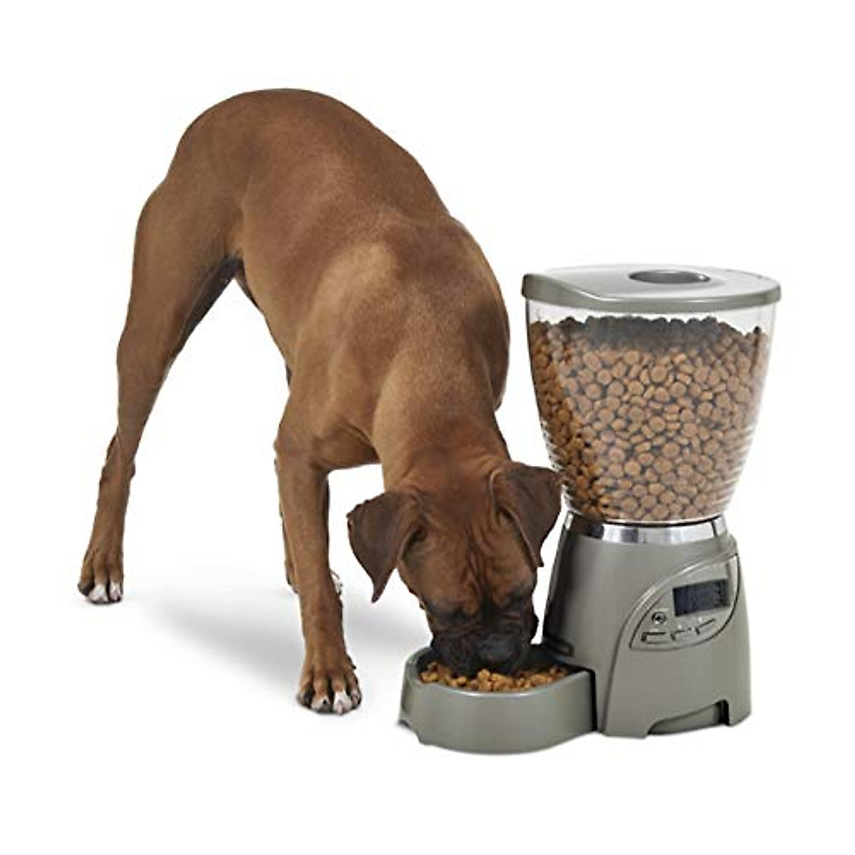 Petmate Portion Right Programmable Dog and Cat Feeder 2 Sizes Brushed Nickel