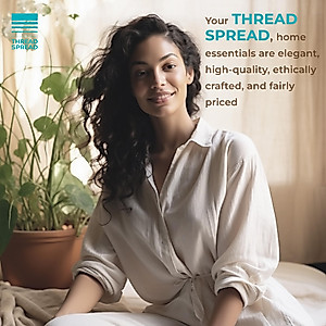 THREAD SPREAD 100% Egyptian Cotton Pillow Cases - 800 Thread Count Pillow Cases Queen/Standard Size Set of 2, Soft & Breathable Extra Long Staple Sateen Weave Cotton Pillow Covers for Bed - Silver