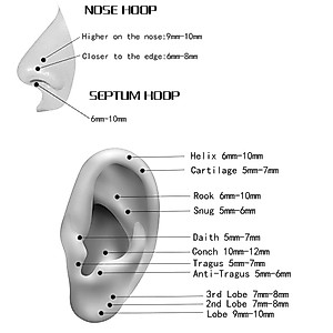 8mm Septum Ring Septum Jewelry Seamless Clicker Nose Rings 18 Gauge 18g Cartilage Earring Lip Rings Silver Nose Piercing Surgical Steel Helix Earrings
