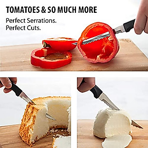 Rada Cutlery Anthem Series Tomato Slicing Knife Stainless Steel Blade with Ergonomic Black Resin Handle, 9 Inches