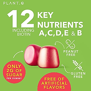 Complete Multivitamin Gummies for Adults – All-in-One Blend of Vitamin A B C D E Zinc and Biotin - Adult Vitamin Gummy for Energy and Immunity – 90 Delicious Gluten Free and Veggie Gummies