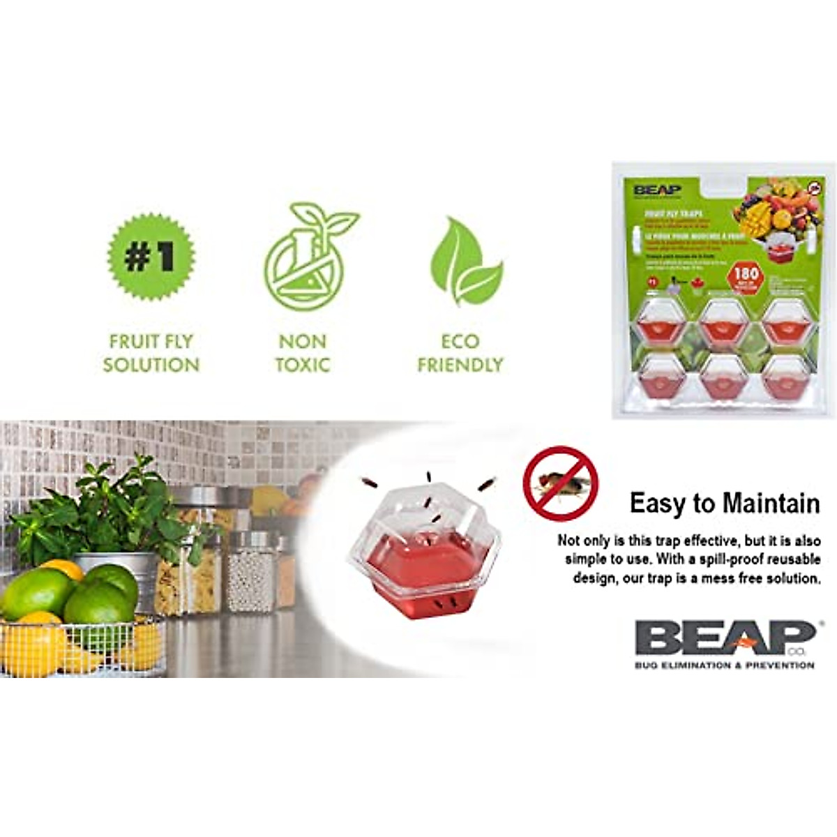 BEAPCO 10036 7 Red 6-Pack Premium Fruit Fly 6 Pre-Filled Trap Flies Indoors | Easy Effective and Safe to Use | Food-Based Lure/Bait Catcher