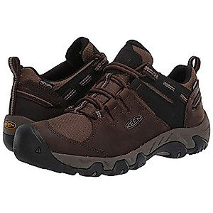KEEN Men's Steens WP Hiking Shoe, Brown, 9.5