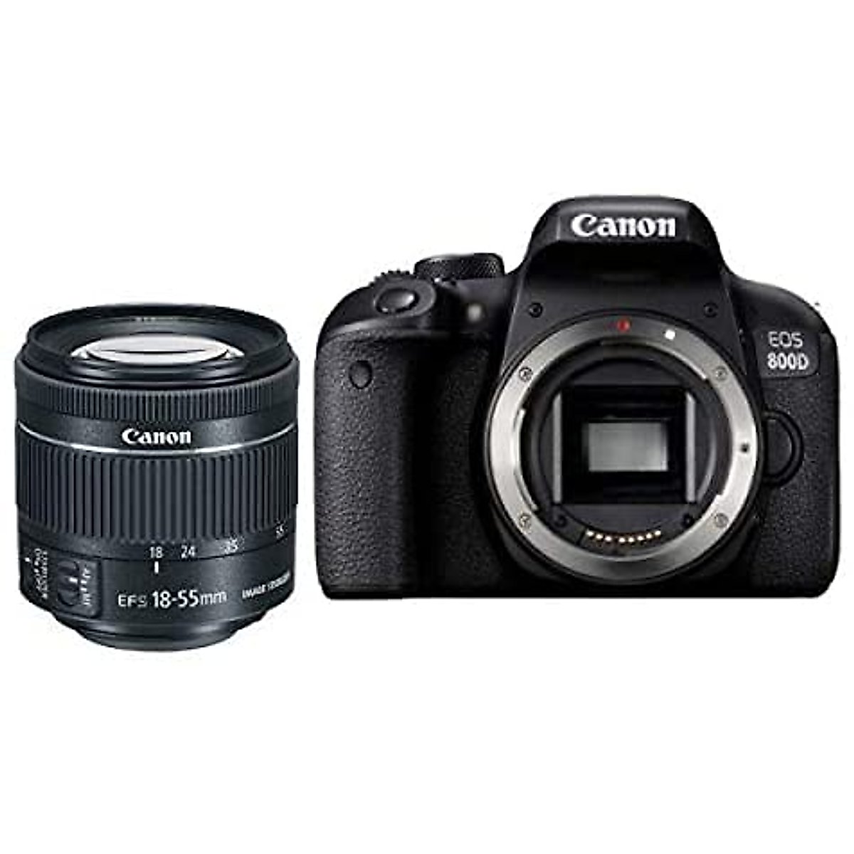 Canon EOS Rebel 800D / T7i DSLR Camera with 18-55 4-5.6 is STM Lens 1895C002 + 64GB Memory Card + Case + Card Reader + Flex Tripod + Hand Strap + Cap Keeper + Memory Wallet (Renewed)