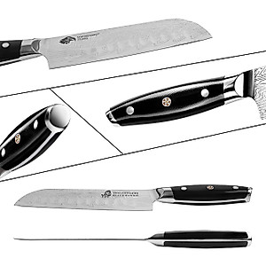 TUO Santoku Knife - Japanese Chef Knife 7-inch High Carbon Stainless Steel - Kitchen Knives with G10 Full Tang Handle - Black Hawk-S Knives Including Gift Box
