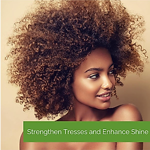 GIOVANNI 2chic Ultra-Moist Shampoo - Avocado & Olive Oil, Creamy Hydration Formula, Enriched with Aloe Vera, Shea Butter, Botanical Extracts, No Parabens, Color Safe - 8.5 fl oz