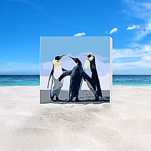 SANWEITU Paint by Number for Adults with Wooden Frame 12×12 inch 3 Pack - Suitable for Beginners & Art Lovers, Non-Toxic Paint, Linen & Nylon Brushes