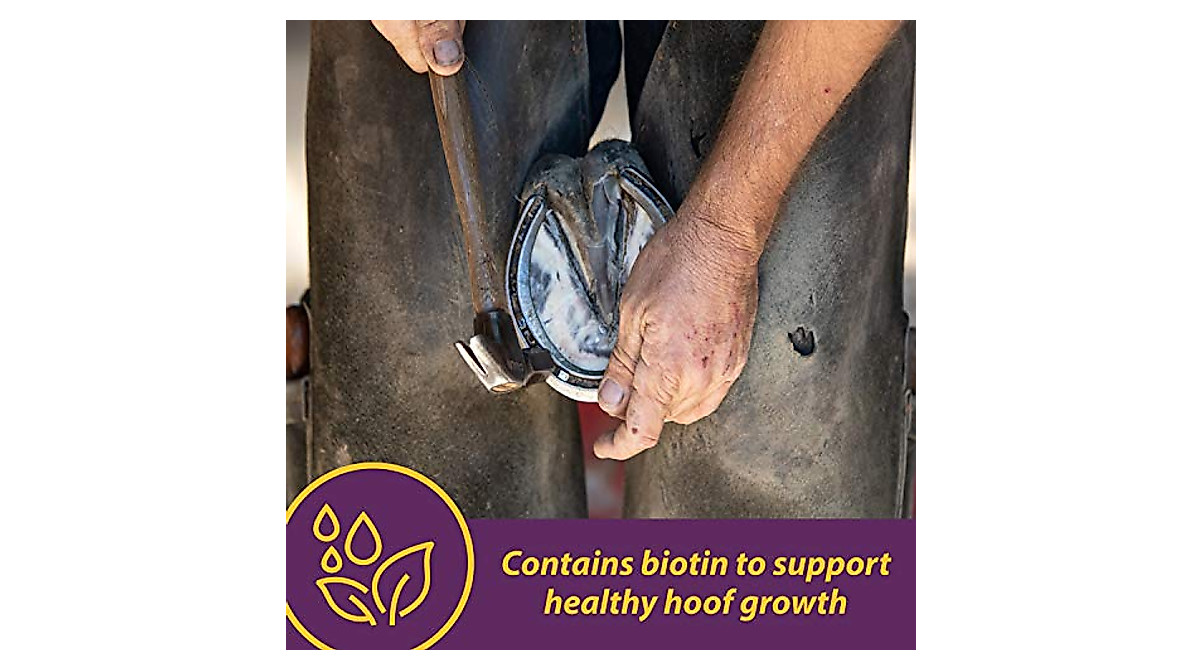 Horse Health Vita Biotin Crumbles: Hoof Supplement for All Horses