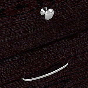 Bush Furniture Cabot 60W L Shaped Computer Desk with Drawers in Espresso Oak