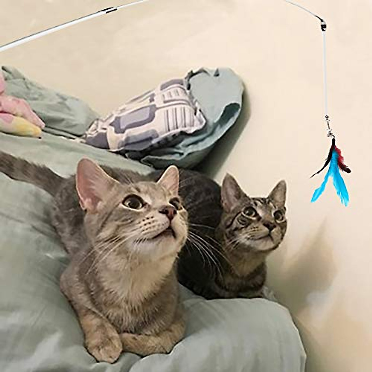 Interactive Cat Toys for Indoor Cats,Retractable Cat Toy Wand,12 Packs Cat Feather Toys and Replacement, 9 Assorted cat Teaser Refills with Bell for Cat Kitten, Cat Fishing Pole Toys for Cat Kitten