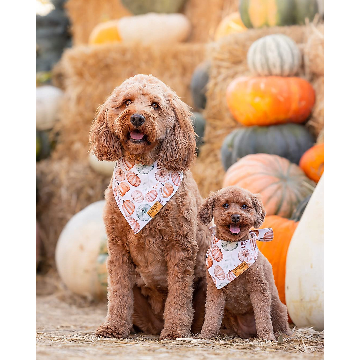 Remy+Roo Fall Dog Bandanas 4 Pack - Amber Set, Premium Durable Polyester Fabric, Patented Curved Design, Adjustable Fit for Small, Large, and XL Dogs, Trendy Patterns, Dog Fall Bandanas (Small)