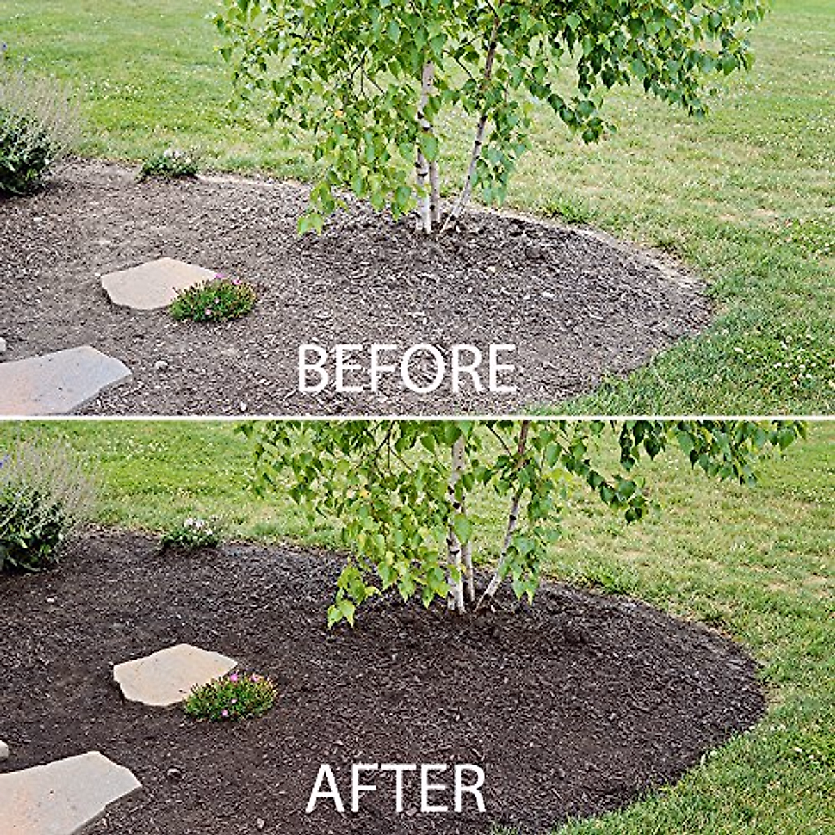 MulchWorx Brown Mulch Color Concentrate - 2,800 Sq. Ft. - Rich Dark Brown Mulch Dye Spray