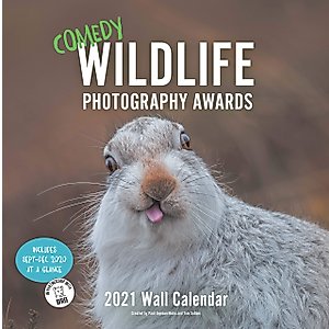 Comedy Wildlife 2021 Wall Calendar: (Funny Animal Monthly Calendar, Calendar with Photographs of Wild Animals Doing Funny Things)