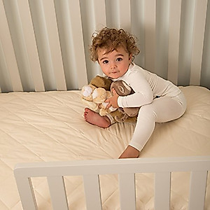 Kolcraft Fresh Start Premium Hypoallergenic Foam Crib Mattress & Toddler Bed Mattress, Non-Toxic Sustainable Waterproof Baby Crib Mattress, GREENGUARD GOLD Air Quality Certified, Made in USA, 52"x28"