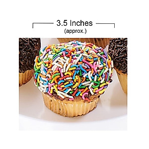 Happy Birthday Cupcakes Large Gift Basket Rainbow Sprinkle Chocolate Sprinkle | 7 INDIVIDUALLY WRAPPED Fresh Cupcakes | Party Food Gift