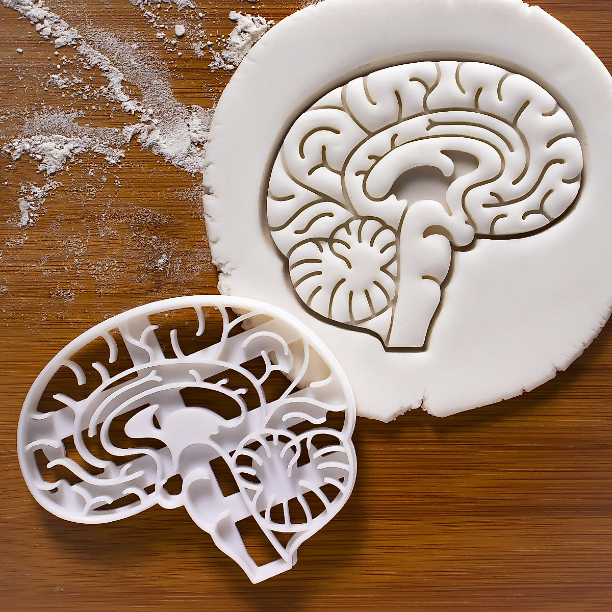 Anatomical Brain cookie cutter, 1 piece - Bakerlogy