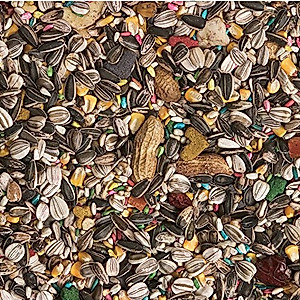 LA Parrot Bird Food 3 Lb