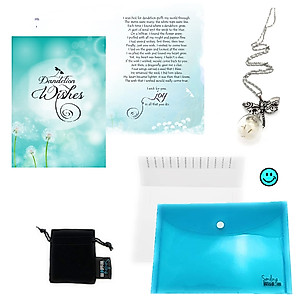Smiling Wisdom - A Dandelion Wish of Joy Greeting Card and Real Seeds Gift Set - Goodbye, Birthday, Retirement, Journey, Graduation - Women - Dragonfly Dandelion Dangle