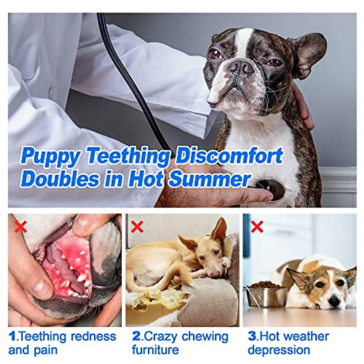 ADDPETS Puppy Toys Frozen 3 Pack for Teething Puppies,Puppy Chew Toys for Teething Relieve Teething Pain Itching, Fillable Puppy Teething Toys,Floating Puppy Chew Toys,Teething Comfort in Summer