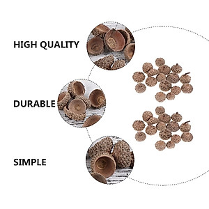 Yardwe Natural Acorn Caps Acorn Hats: 80Pcs Tops Small Fake Acorn Caps for Crafting Decoration DIY Christmas Weddings Crafts