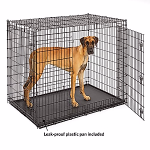 Midwest Homes for Pets SL54DD Ginormus Double Door Dog Crate for XXL for the Largest Dogs Breeds, Great Dane, Mastiff, St. Bernard, Black