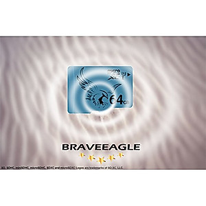 BRAVEEAGLE 64GB microSD Card Class 10 SD Memory Card UHS-1 for Camera/Drone/Dash Cam (64GB U1)