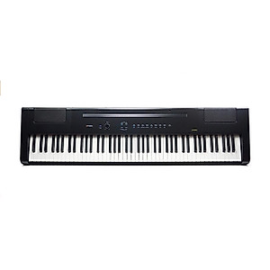 Artesia PA-88H 88-Key Weighted Hammer Action Digital Piano with Sustain Pedal and Power Supply (Black)