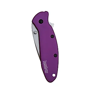 Kershaw Purple Scallion Pocket Knife, 2.25” Stainless Steel Blade with Assisted Opening, Aluminum Handle with Single-Position Pocketclip, Small Folding Knife