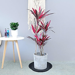 5 Packs Plant Saucer Pot Tray 6 8 10 12 14 16 19 20 Inch Plastic Flower Planter Saucers and Drip Trays for Indoors Outdoors, Thick Heavy Sturdy Durable Plant Plate Water Catcher (14 Inch Black)