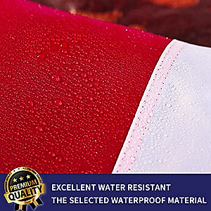 XIFAN Premium California State Flag 4x6 - Embroidered Heavy Duty 300D Nylon Strongest Longest Lasting - CA Republic Bear Flag Outdoor - Vibrant Print Waterproof