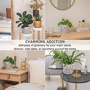 BASE ROOTS Mushroom Planter, Speckled White, Indoor/Outdoor, Holds Small Plants